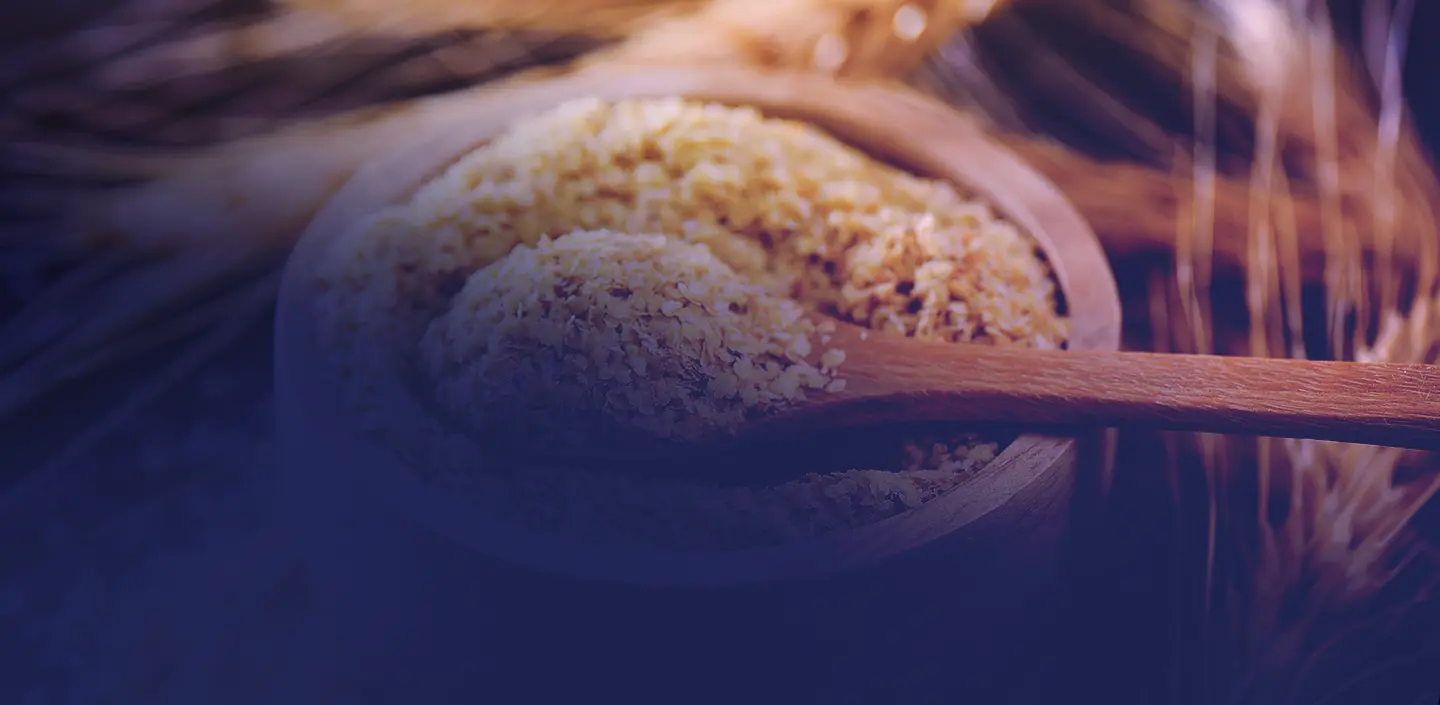 Spermidine là gì? Chức năng, Lợi ích và Bổ sung